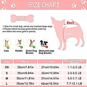 Pink Dog Sweater Dress with Leash Ring Female Dog Clothes for Small Dogs Girl,Warm Fleece Pet Clothes (Small, Pink)