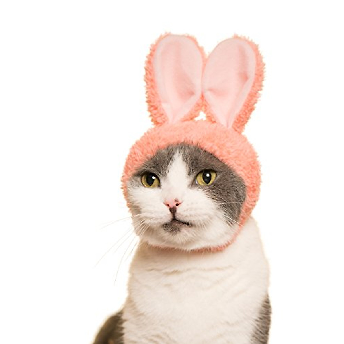 Kitan Club Cat Cap - Pet Hat Blind Box Includes 1 of 5 Cute Styles - Soft, Comfortable - Authentic Japanese Kawaii Design - Animal-Safe Materials, Premium Quality (Rabbit)