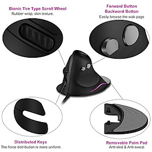 TRELC Vertical Ergonomic Optical Mouse with 6 Programmable Buttons, 800-3200 DPI, Removable Palm Rest, Reduces Wrist Pain, RGB Vertical Mice Wired for PC, Desktop, Laptop (Wired)