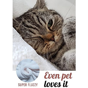 InnoBeta Australian Shepherd Gifts for Women, Best Aussie Blanket for Aussie Mom, Australian Shepherd Throw Blanket, 50 x 65 inch, Skin Friendly