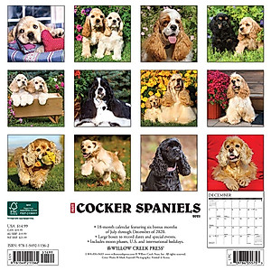 Just Cocker Spaniels 2021 Wall Calendar (Dog Breed Calendar)