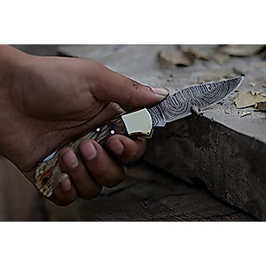 BCK Pocket Knife 4 Pcs Set 6.5" Handmade Damascus Folding Knife Back lock knife Damascus Hunting Knife with Sheath Damascus Pocket Knife for men 100% Prime Quality camping Knife (Brown Wood)