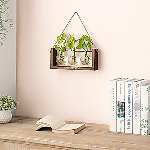 Dahey Planter Propagation with Wooden Stand, Desktop Plant Terrarium for Hydroponic Planter Station Wall Hanging Mounted Propagation Vase Home Garden Office Decoration Plant Lover Gifts, 3 Vase