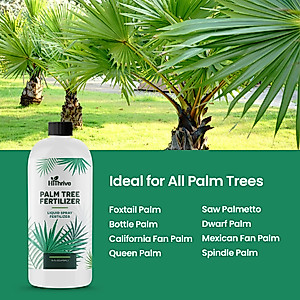 16oz Palm Tree Fertilizer, Premium Plant Food - Palm Fertilizer for Lush Growth of Palm Trees, Rich in Plant Nutrients Plant Fertilizer, Easy Plant Care Liquid Fertilizer - Water Soluble Fertilizer