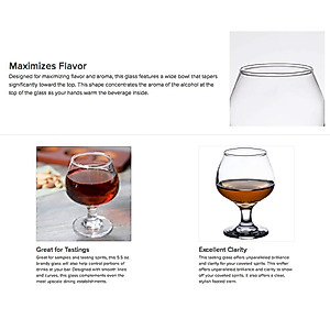 The Bar Glass Brandy Tasting Snifter Glass 5.5 oz (4, 5.5 oz)