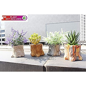 2CFUN Succulent Planter Pots Small Ceramic Flower Cactus Pots Set 4 Pack Tree Stump Succulent Pots with Drainage Bonsai Pots 4.33 Inch Gift for Home Decor Indoor Outdoor
