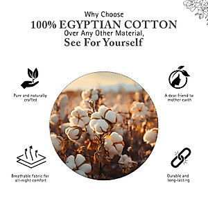 Minor Monkey Full/Queen Duvet Cover 1000 Thread Count 100% Egyptian Cotton Luxury Hotel Quality Silver Grey Quilt Cover & Pillow Sham - 3 PC All Season Duvet Cover Set with Zipper Closure, Corner Ties