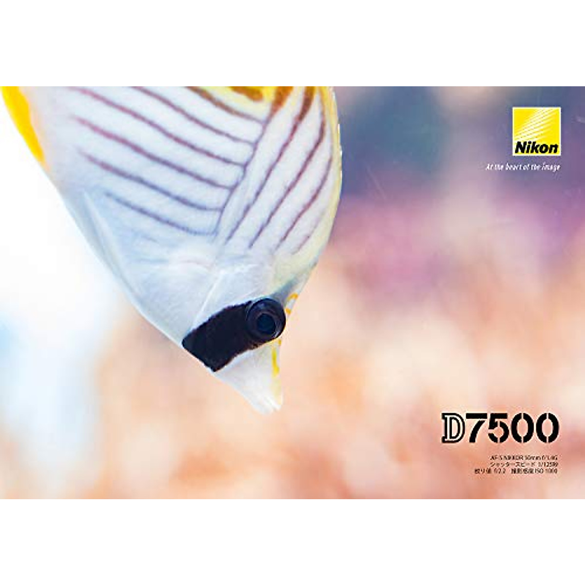 Nikon D7500 20.9MP DX-Format 4K Ultra HD DSLR Digital Camera (Body Only) - (Japan Import)