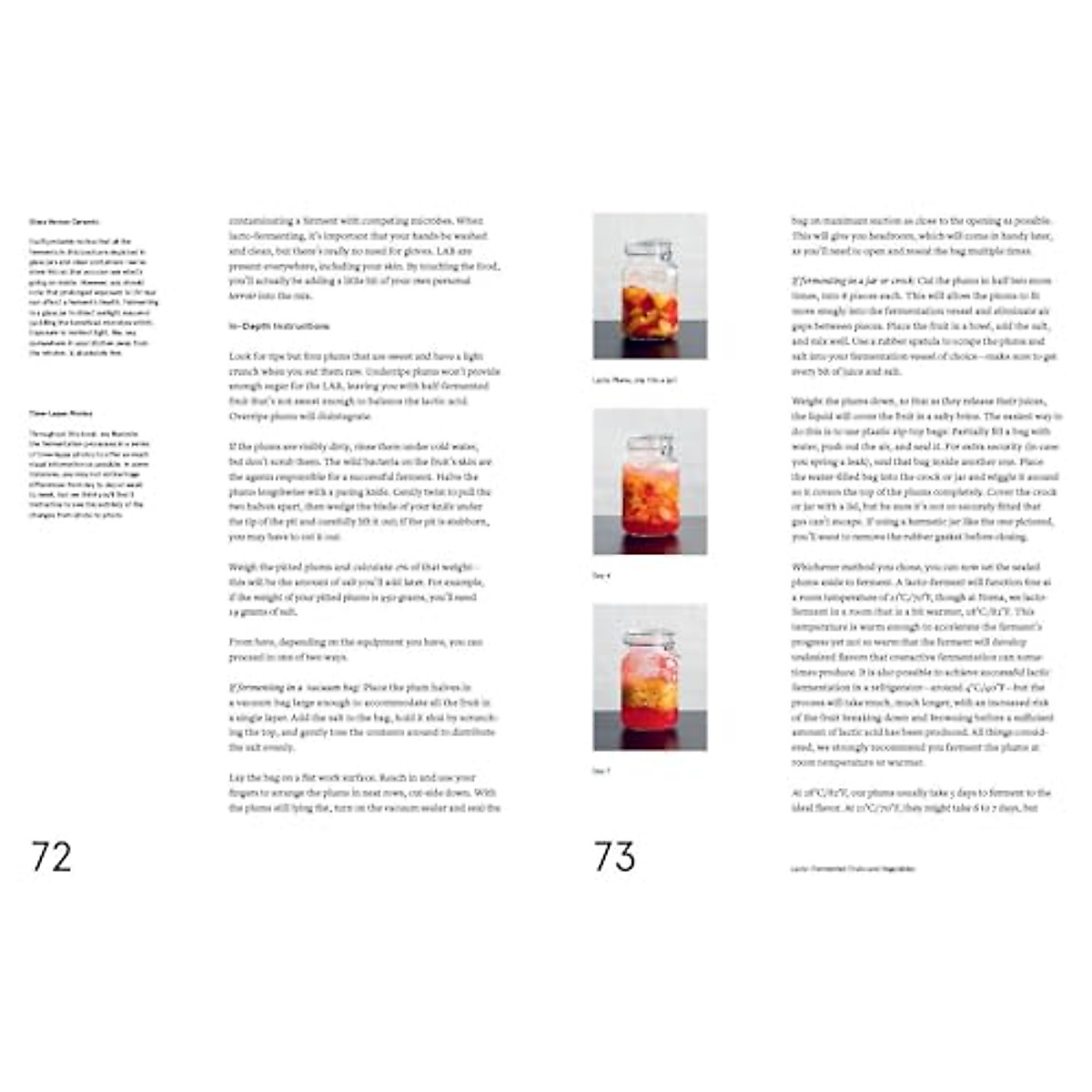 The Noma Guide to Fermentation: Including koji, kombuchas, shoyus, misos, vinegars, garums, lacto-ferments, and black fruits and vegetables (Foundations of Flavor)