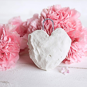 100 Pcs Nichrome Wire High Temp Fusing Wire for Kiln High Fire Ceramic Wire Glass Fusing Wire U Hooks 21 Gauge with Plastic Storage Box for DIY Pendant Bead Ornaments Stained Glass Supplies()