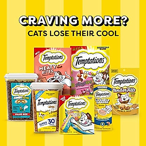 Temptations Classic Crunchy and Soft Cat Treats Blissful Catnip Flavor, 16 Ounce (Pack of 2)