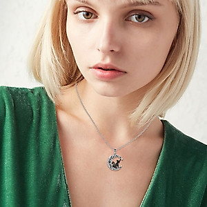 SHEAISRS Celtic Moon Black Cat Urn Necklace for Ashes Moon Cat Cremation Jewelry for Women Sterling Silver Cat Jewelry Moonstone Necklace for Cat Lovers