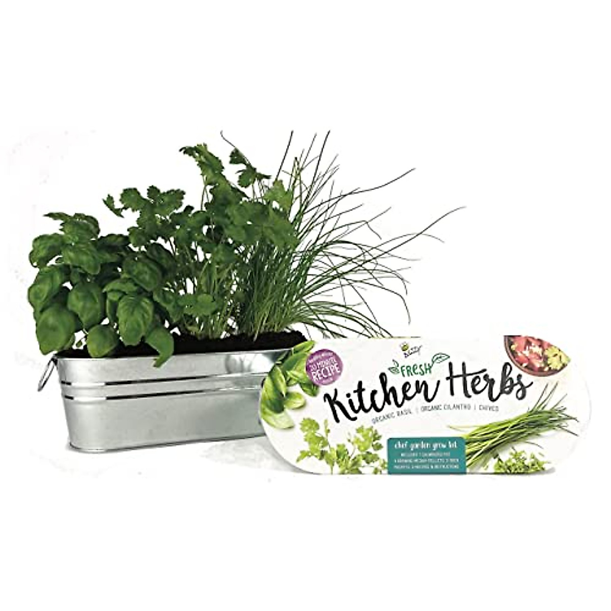 BUZZY Organic Windowsill Grow Kit | Kitchen Herbs: Basil, Cilantro, and Chives | Best Gardening Gifts, Favors, Parties, Events, Unique, and Fun | Growth Guaranteed