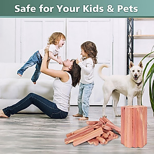 UNIVIVO 50PCS Cedar Sticks, 100% Aromatic Red Cedar Blocks for Closet Storage, Wardrobe, Closets Drawers