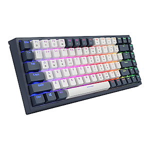 HUO JI CQ84 Wireless Mechanical Gaming Keyboard, Programmable RGB Backlit, Bluetooth, Red Switches, 84 Keys, Wired 60% Keyboard for iPad, iMac Android/Windows Tablet Laptop Desktop, White Blue