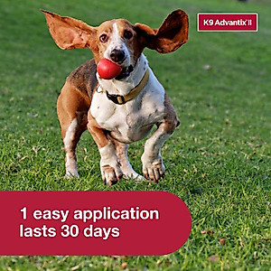K9 Advantix II for Dogs 10 lbs and Under - 6 Count
