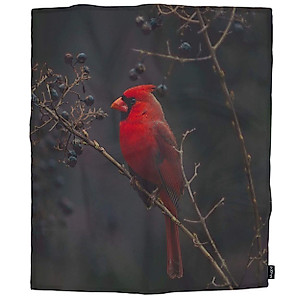 Mugod Red Bird Throw Blanket Northern Cardinal Bird on The Tree Branch Decorative Soft Warm Cozy Flannel Plush Throws Blankets for Baby Toddler Dog Cat 30 X 40 Inch