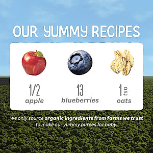 Happy Baby Organics Stage 2 Baby Food Pouches, Gluten Free, Vegan & Healthy Snack, Clearly Crafted Oat & Fruit Puree, Apples, Blueberries & Oats, 4 Ounces (Pack of 16)