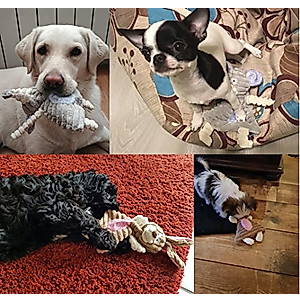 Comtim No Stuffing Dog Toys with Squeaker, Durable Dog chew Toys No Stuffing Squeaky Dog Toys for Small Dogs and Puppies, Rabbit & Elephant