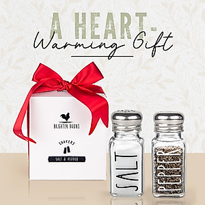 Clear Glass Salt and Pepper Shakers Set by Brighter Barns - Modern Kitchen Decor for Home Restaurant BBQ Camping RV - Farmhouse Kitchen Accessories - Glass Shakers & Stainless Steel Lids (Clear)