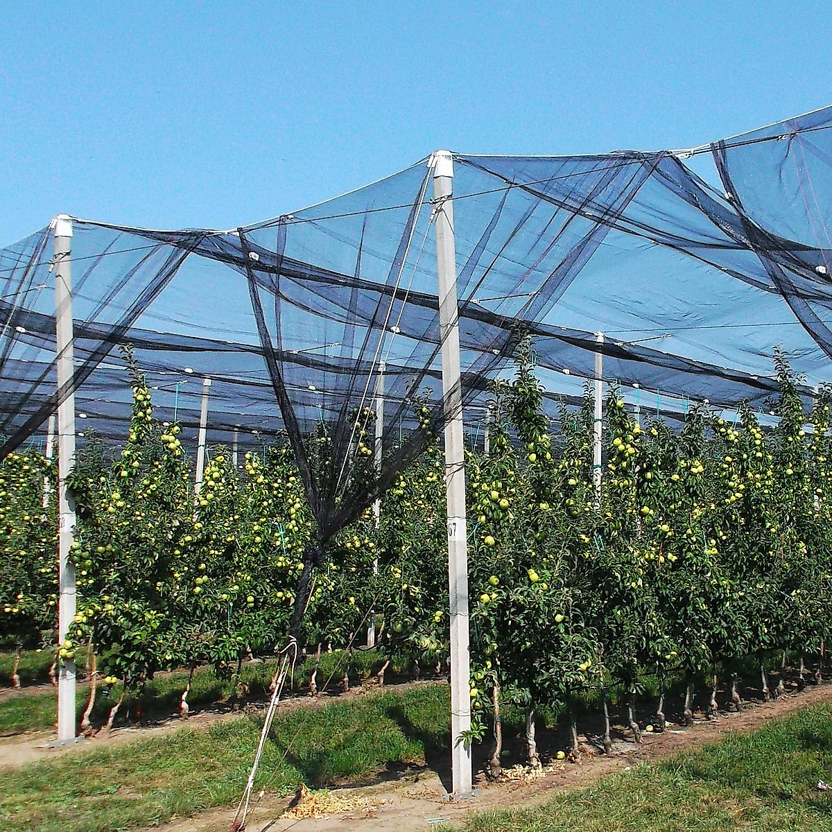 Unves Mosquito Netting, 39 x 10 Ft Mosquito Net for Patio Insect Bird Netting for Garden Protection, Garden Mesh Netting Protect Vegetables Fruits from Birds Bugs