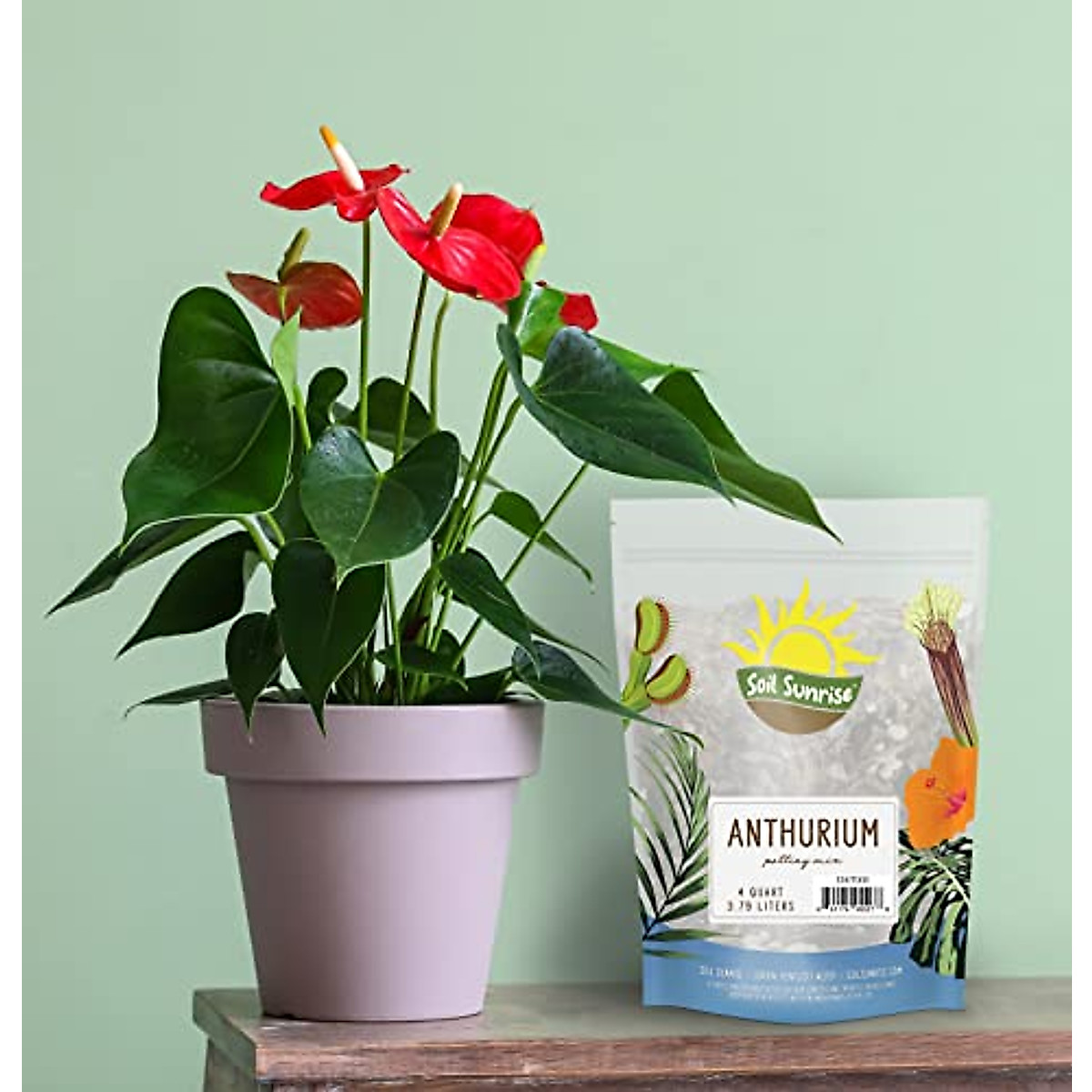 Anthurium Plant Potting Soil Mix (4 Quarts), Indoor Houseplant Custom Blend for Flowering Anthuriums
