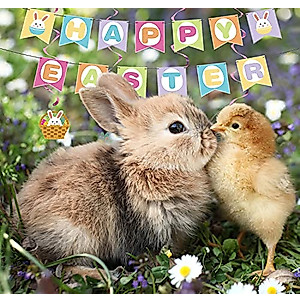 ASunine Easter Party Decorations Happy Easter Banner Hanging Swirl with Honeycomb Centerpieces Easter Eggs Bunny Table Decorations for Home Office School Classroom Party Supplies