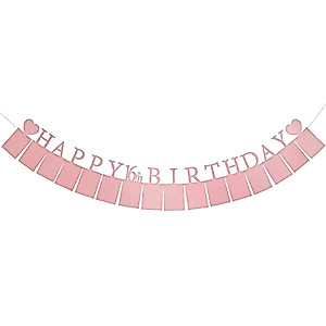 Sweet 16 Birthday Decorations Photo Banner in Rose Gold Pre-assembled - Sweet 16 Banner WITH Sixteen Photo Card Frames Party Supplies - Happy 16th birthday decorations for girls with 16 Signs