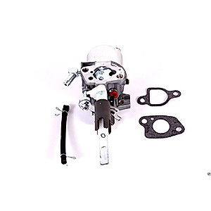 Genuine LCT Lauson 53201 Carburetor for 254cc 2-Stage Snow Engines