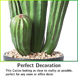 AntHousePlant Artificial Cactus Fake Cactus 16" Faux Cacti Plants for Home Garden Office Store Decoration