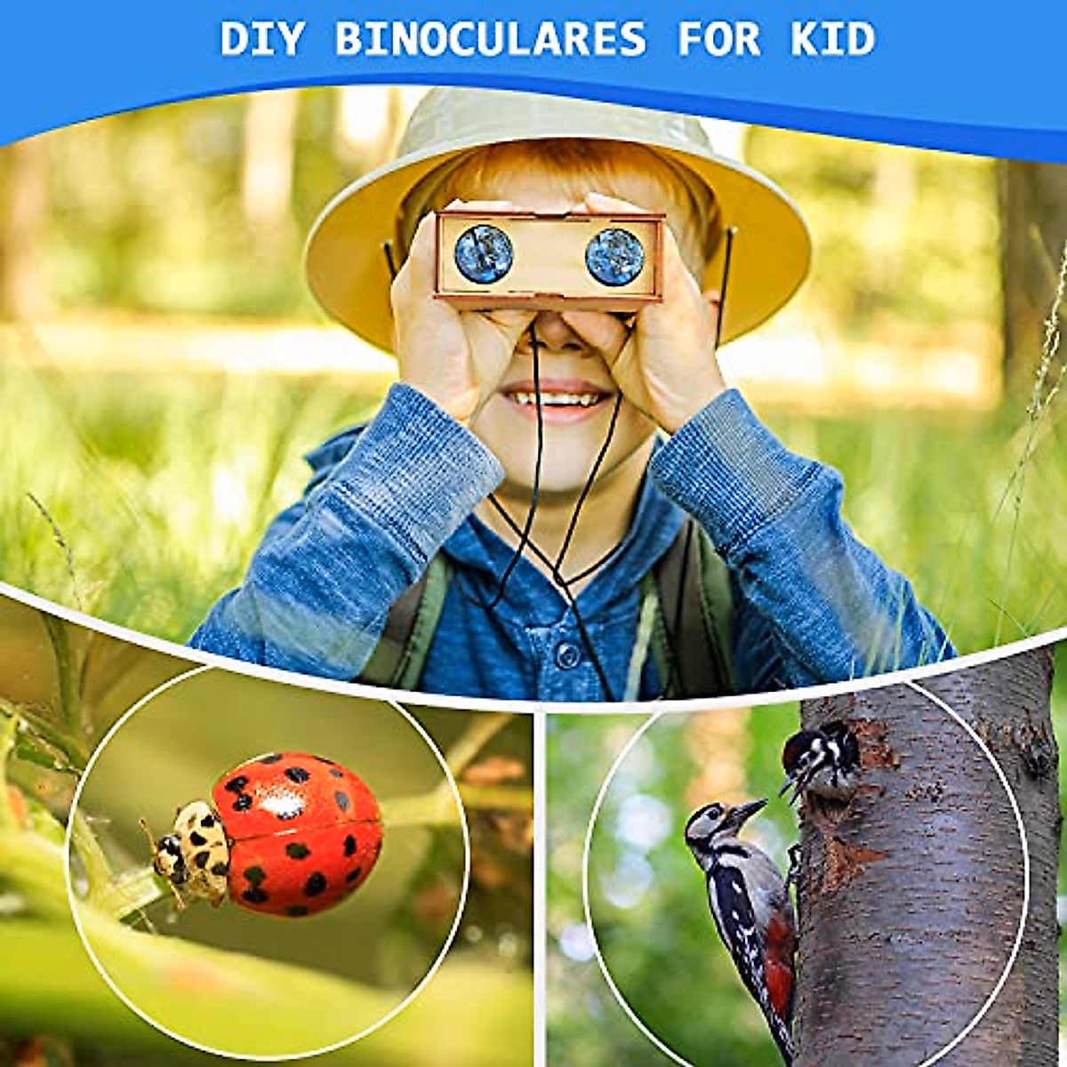 6 in 1 STEM Kits, Science Experiment STEM Projects for Kids Ages 8-12, Educational 3D Wooden Puzzle, DIY STEM Toys Building Kit, Gifts for Boys and Girls Ages 8 9 10 11 12 Years Old