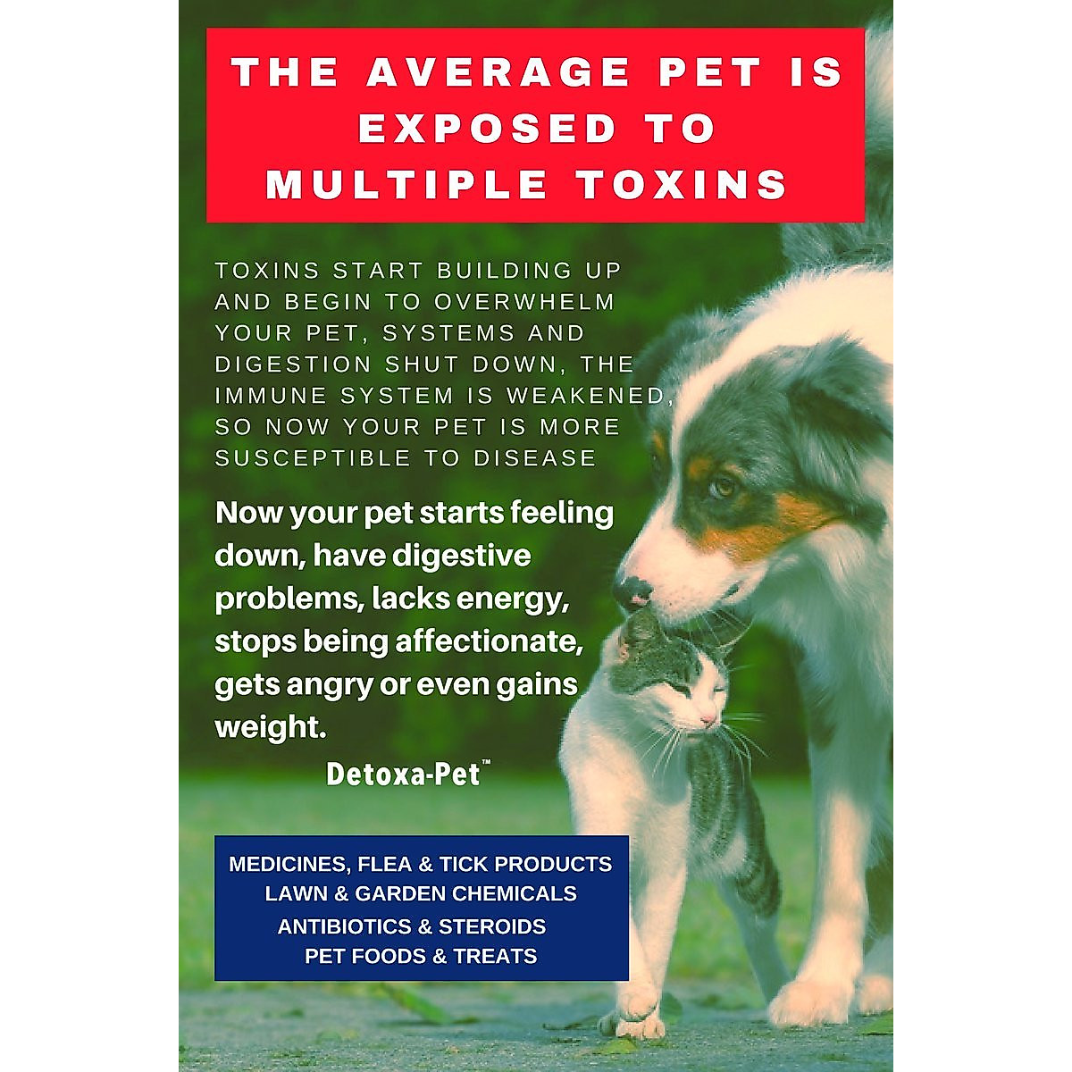 DETOXA-PET Powder, Powerful Nutritional Supplement for Pets, Works Wonders! Dog & Cat Detox, Liver Detox for Dogs, Cats,10 Bill CFU Probiotics, Enzymes, Herbs, Vitamins, Minerals, Immediate Benefits!