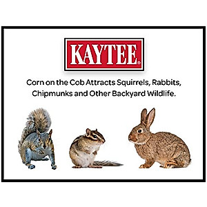 Kaytee Corn On The Cob Food For Wild Squirrels, Rabbits, Chipmunks and Other Backyard Wildlife, 6.5 Pound