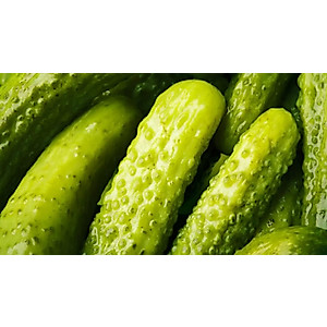 Best Maid Dill Pickle 60-80 Count 5 Gallons | Foodservice Bulk | Concession Stand Items | Gourmet | American Grown & Made | Take Home a Taste of Texas