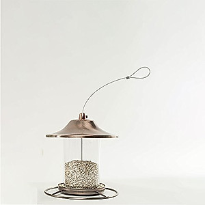 Shafer Seed 84079 Safflower Seed Wild Bird Food, 50 lb