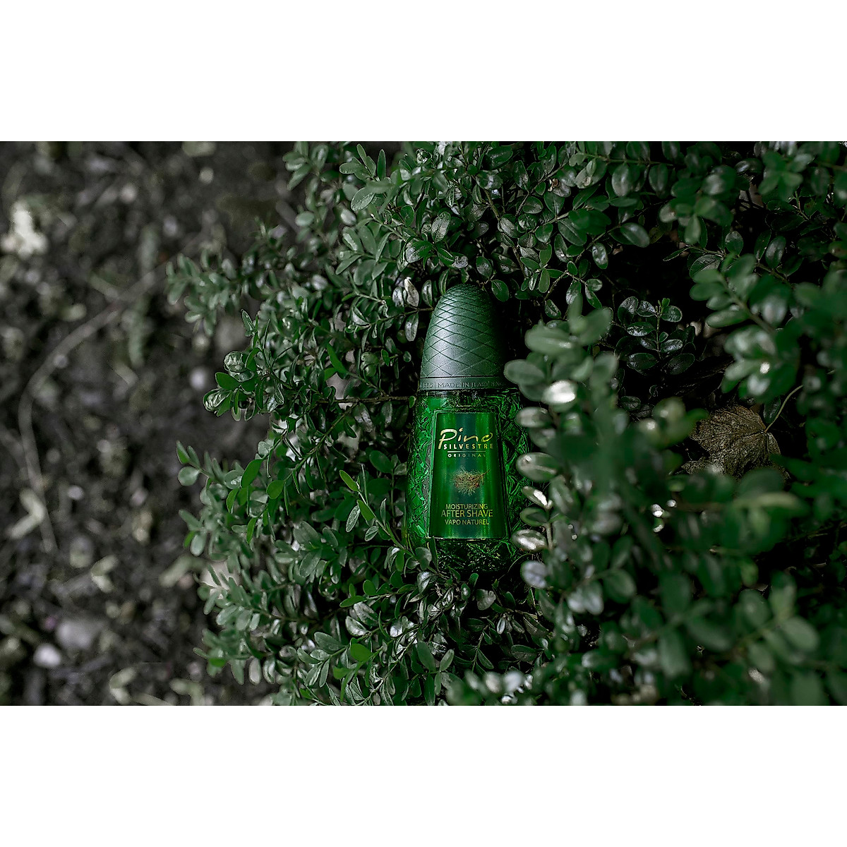 Pino Silvestre Moisturizing After Shave - An Original Treatment For Post Shaving - An Organic, Cooling Moisturizer Serum For The Face - A Tree Scented Travel Sized Bottle - 4.2 Oz Aftershave Spray