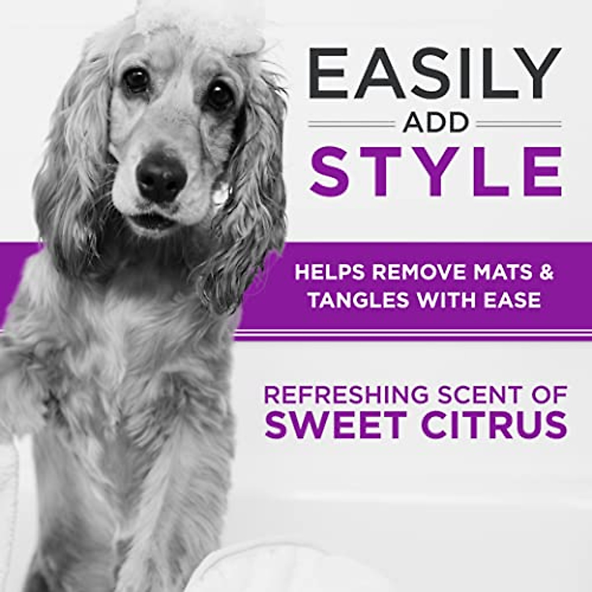 TropiClean Perfect Fur Detangling Dog Shampoo for Breeds with Curly & Wavy Fur, 16 Ounce