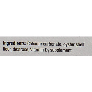 Exo Terra Calcium + D3 Powder: Ultra-fine, Phosphorus Free Formula Boosts Bone Health & Calcium Absorption Ideal for Insects, Fruits & Veggies 15.9 oz.