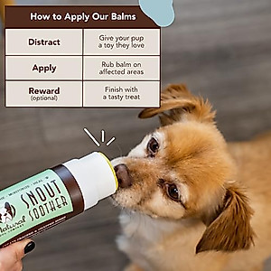 Natural Dog Company Snout Soother Dog Nose Balm, 2 oz. Stick, Dog Balm for Paws and Nose, Moisturizes & Soothes Dry Cracked Noses, Plant Based Nose Cream for Dogs