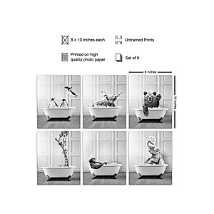 Cute Bathroom Wall Art & Decor - Funny Bathroom Decor for Women, Kids - Cow Elephant Bear Giraffe Penguin Wall Art Set - Bathroom Pictures - Bath Wall Decor - Bathroom Accessories - Powder room Sign