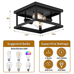 Drosbey 2-Light Flush Mount Ceiling Light Fixture, Farmhouse Light Fixtures, Industrial Vintage Ceiling Light for Kitchen, Bedroom, Hallway, Laundry