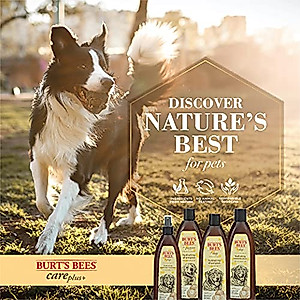 Burt's Bees for Dogs Care Plus+ Hydrating Shampoo and Conditioner with Coconut Oil - Dog Shampoo and Conditioner, Burts Bees Dog Shampoo, Burts Bees for Pets Dog Conditioner, Burts Bees Pet Wash