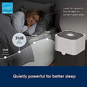 BLUEAIR Air Purifier (2-pack) for Home Large Room up to 2,592sqft in 60 min, HEPASilent, Wildfire, Removes Particles like Smoke Allergens Dust Mold Pet Hair Odor Bacteria, Blue 211+, Gray
