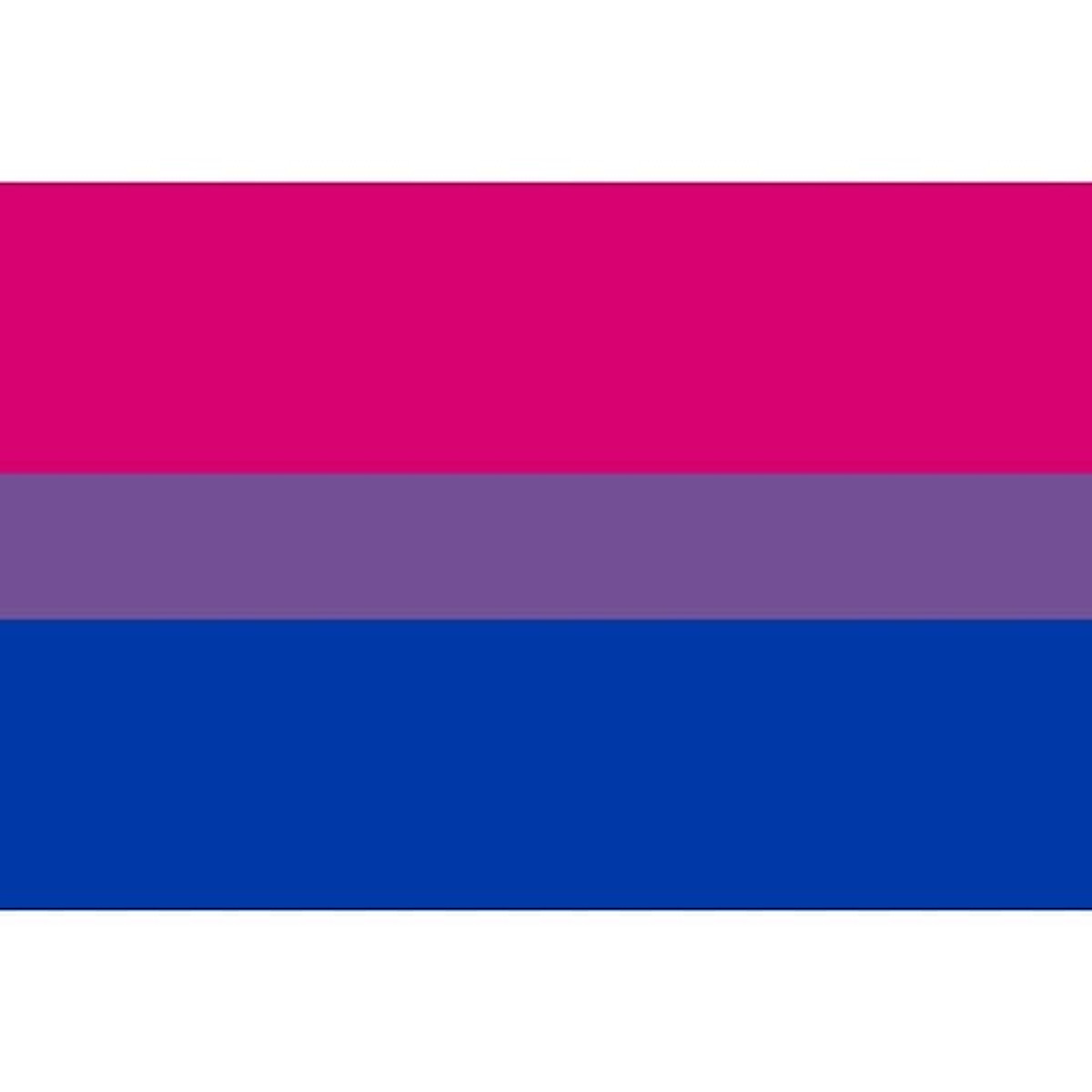 CafePress Bisexual Pride Mug Ceramic Coffee Mug, Tea Cup 11 oz