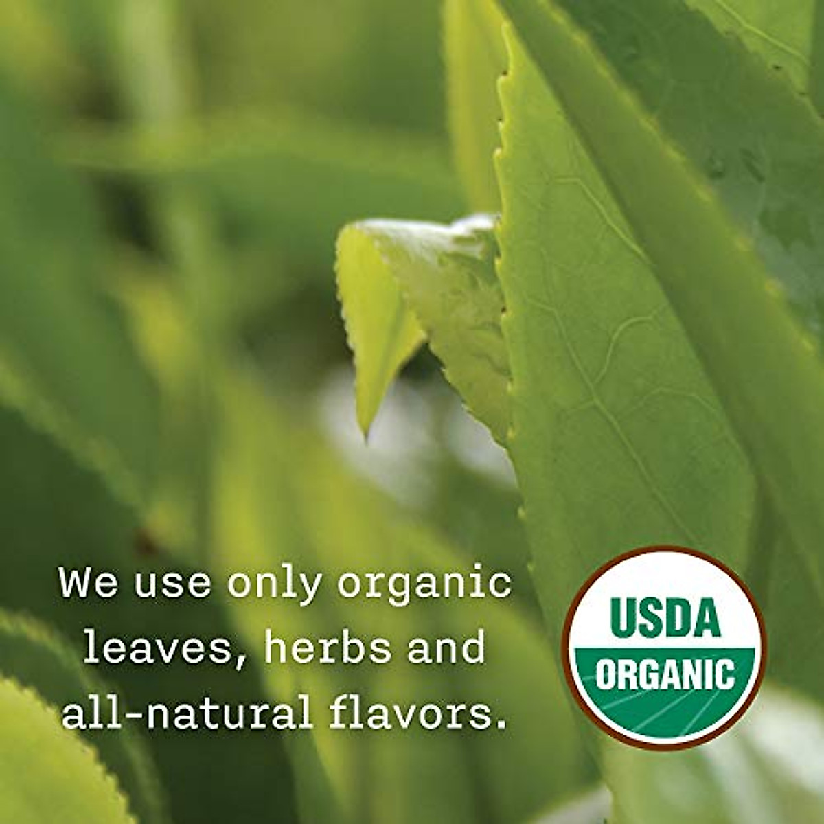 Allegro Tea Organic Decaf Ginger Peach Black Tea Bags, 20 Count