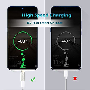 USB-C to C Data Blocker-Protect Against Juice Jacking, USB C to USB C Adapter-Support Fast Charging(50V/5A), USB Data Blocker Defender for Cell Phones, Tablets, Block Data Transfer (Silver)