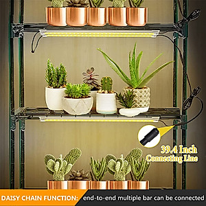 Juhefa LED Grow Light Strip Bar, 60W 3500K Sunlight Full Spectrum Heat Lamp with Red White Bulbs for Seeding Succulent Hanging Indoor Plants, Auto On/Off Timing & 5 Dimming