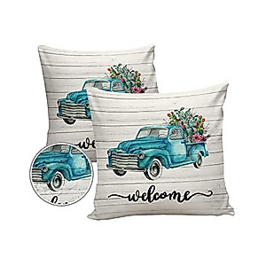 Outdoor Waterproof Pillow Covers for Patio Furniture Cactus with Blue Truck Decorative Throw Pillow Cover Tropical Plants Wood Grain Pillowcases Set of 2 Cushion Case for Sofa Couch Chair 18 x 18 in