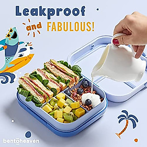 Bentoheaven Premium Bento Lunch Box for Kids, 9 Designs, Leak-proof 3-4 Compartments, Divider, Ideal size 30oz, Microwave/Dishwasher Safe Kids Bento Box (Loncheras Para Niños/Niñas)[Ocean Blue]