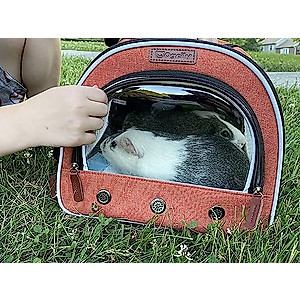Small Bird Carrier Cage, Bunny Carrier, Pet Carrier for Small Animals Guinea Pig Hamster Rat Travel Carrier Cage
